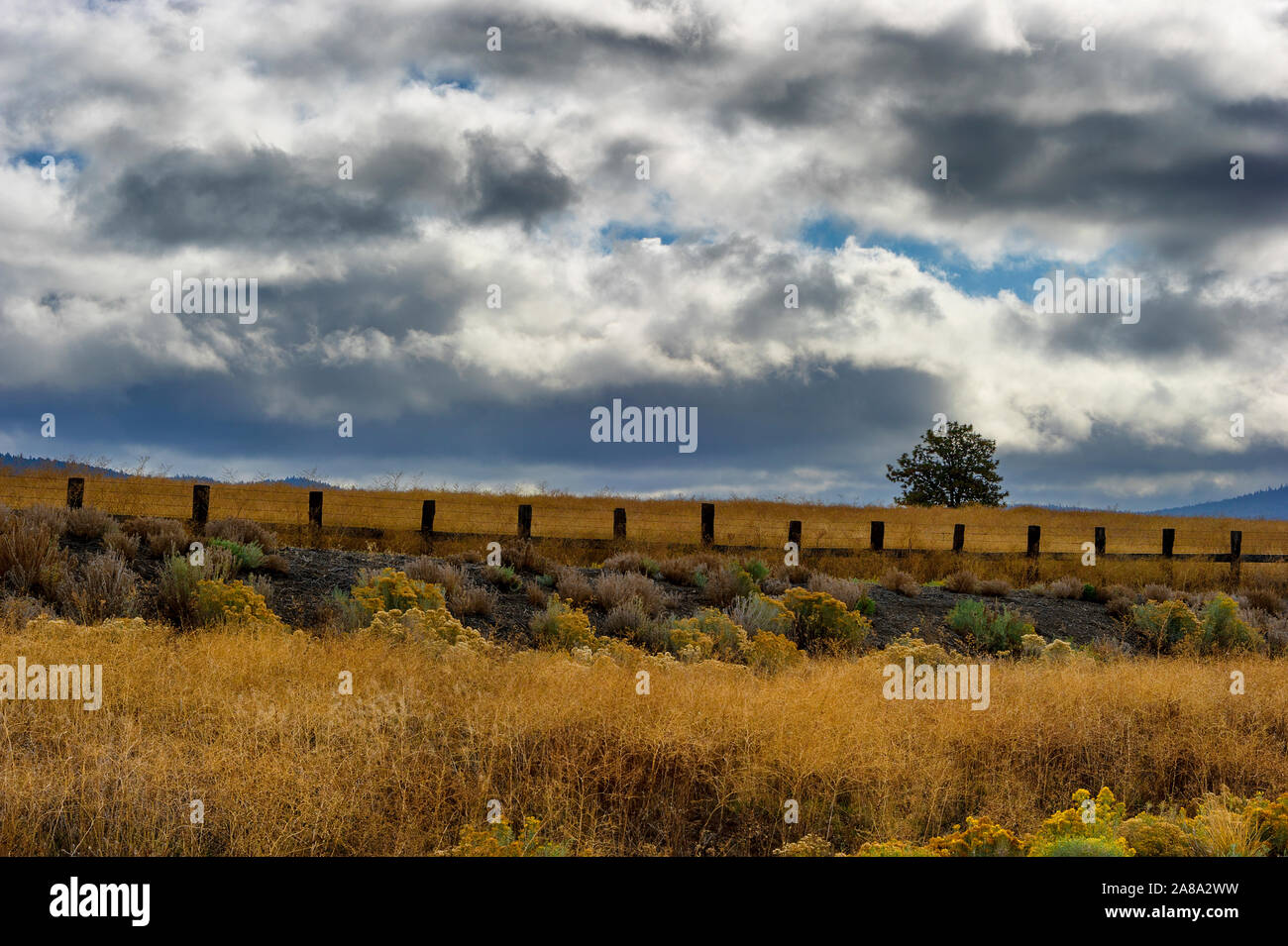 Desert fall colors hi-res stock photography and images - Alamy