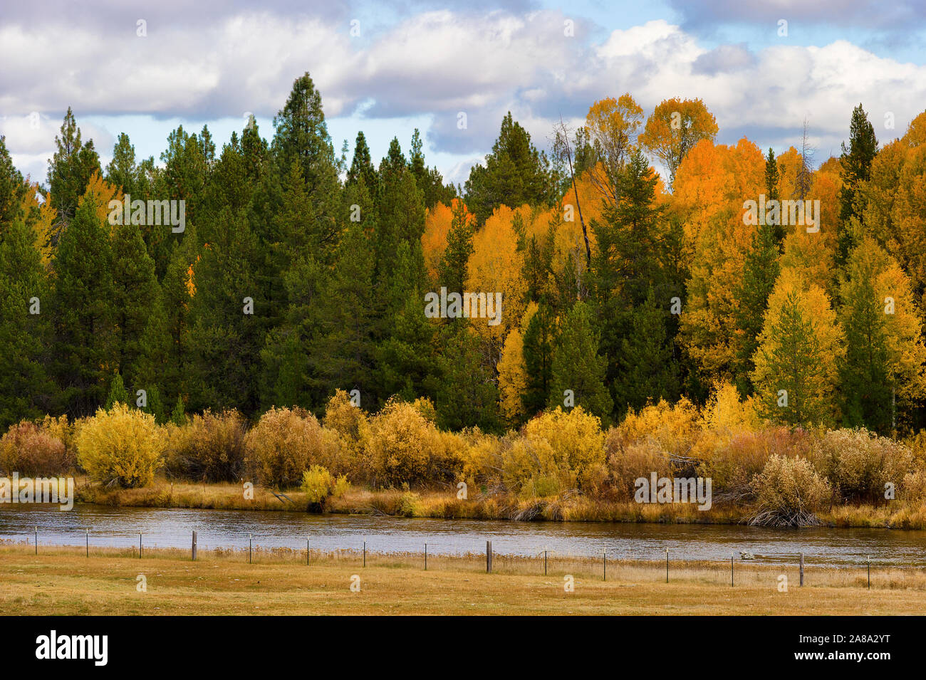 Warm autumn colors add hi-res stock photography and images - Alamy