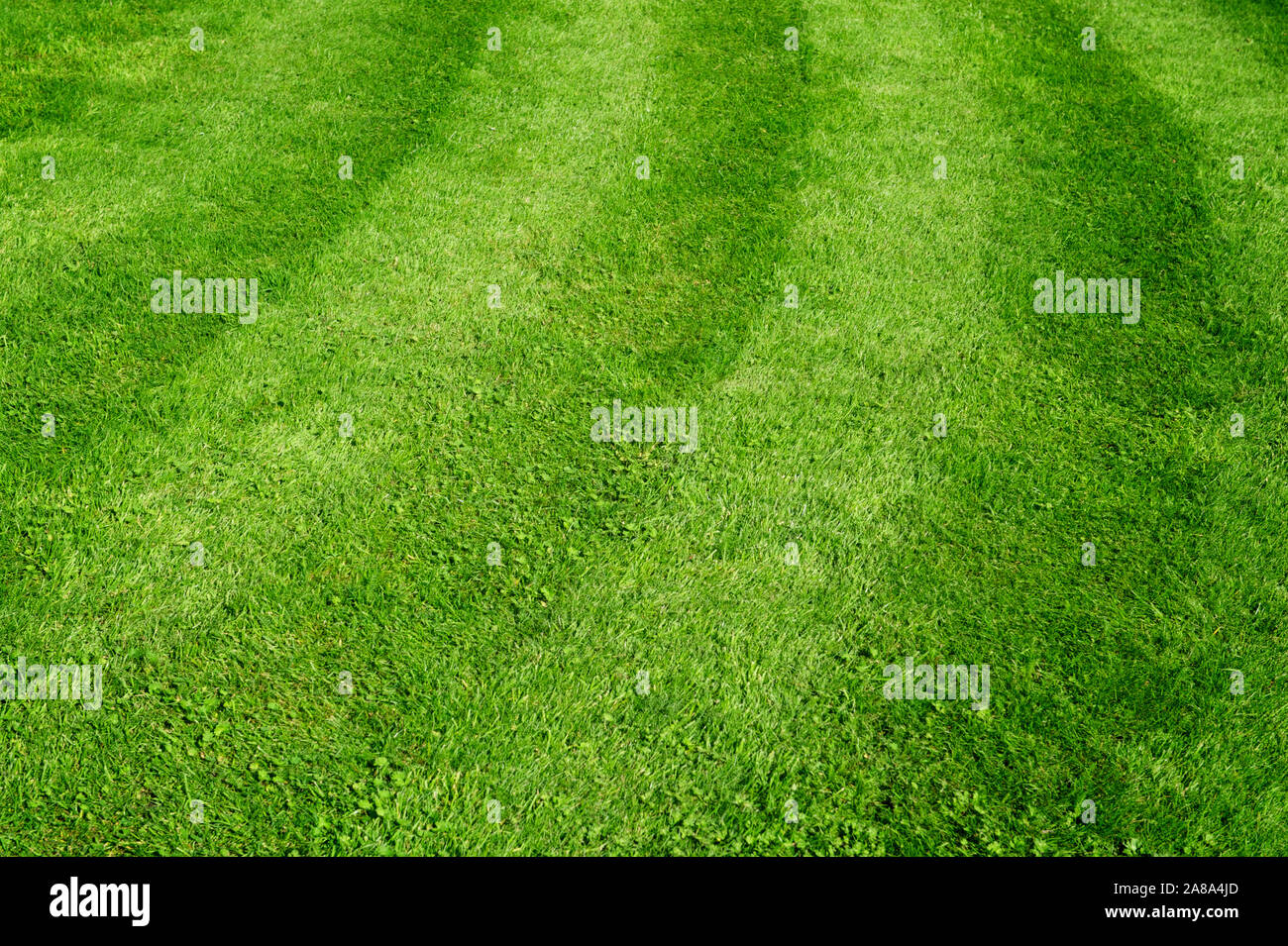 Neatly mown grass hi-res stock photography and images - Alamy