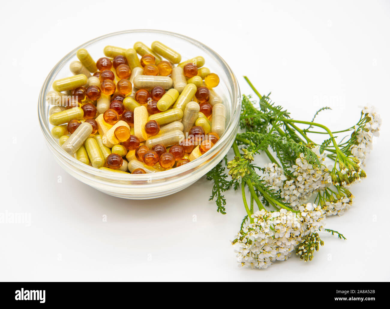 A sprig of yarrow hi-res stock photography and images - Alamy