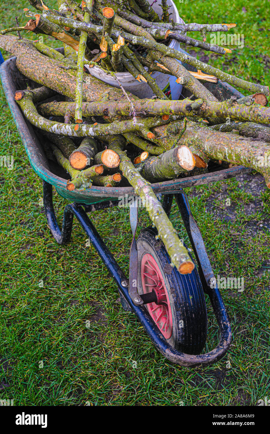 Logs in a wheelbarrow Stock Photo - Alamy