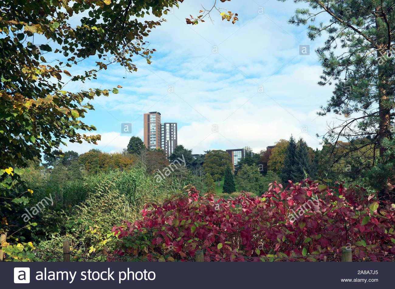 Birmingham Set High Resolution Stock Photography and Images - Alamy