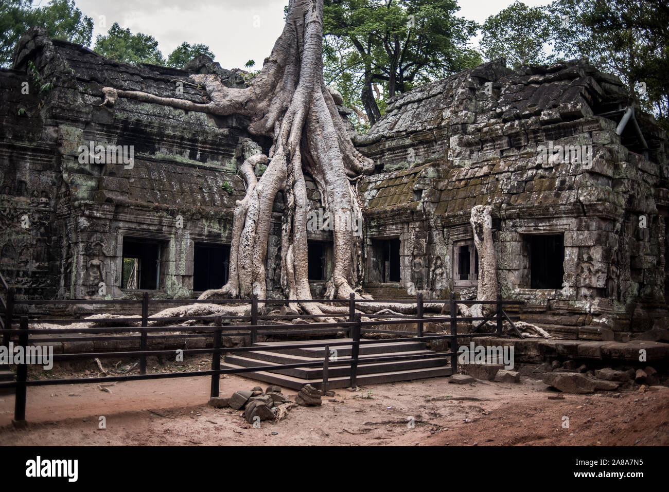 Ta Prohm