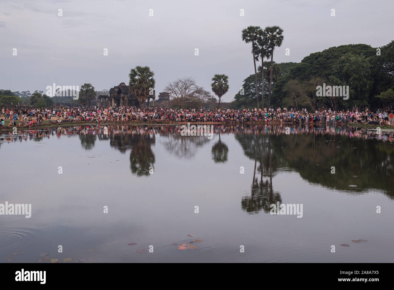 Crowds gather at sunrise time at the Angkor Wat temple to , Siem Reap ...