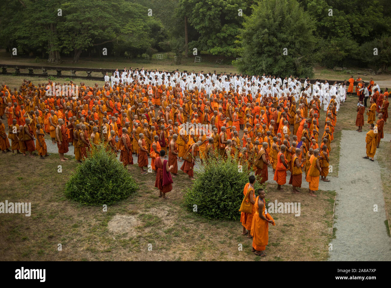 A Large group of Buddhist monks and Nuns during the Celebration of the ...