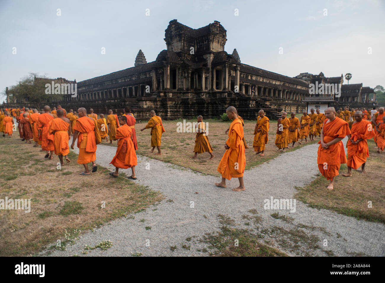Large group of Buddhist monks during the celebration of the Visak ...