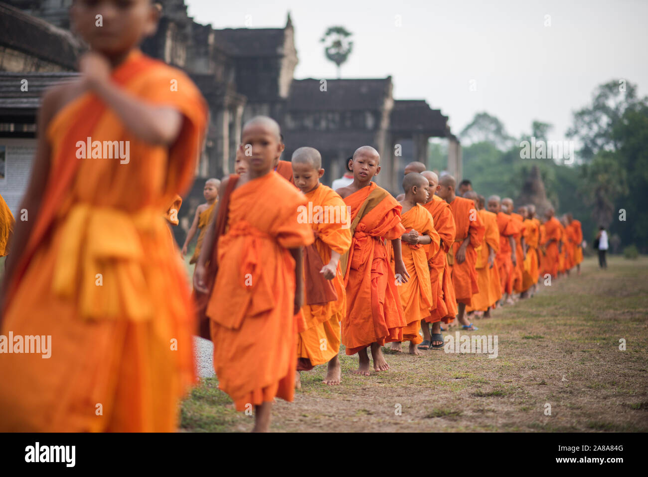 Large group of Buddhist monks during the celebration of the Visak ...