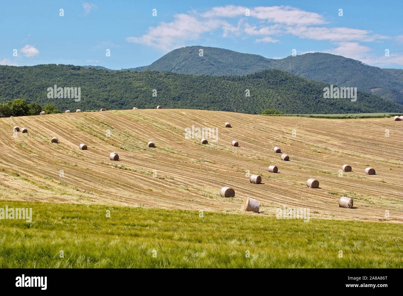 Springtime storage hi-res stock photography and images - Alamy