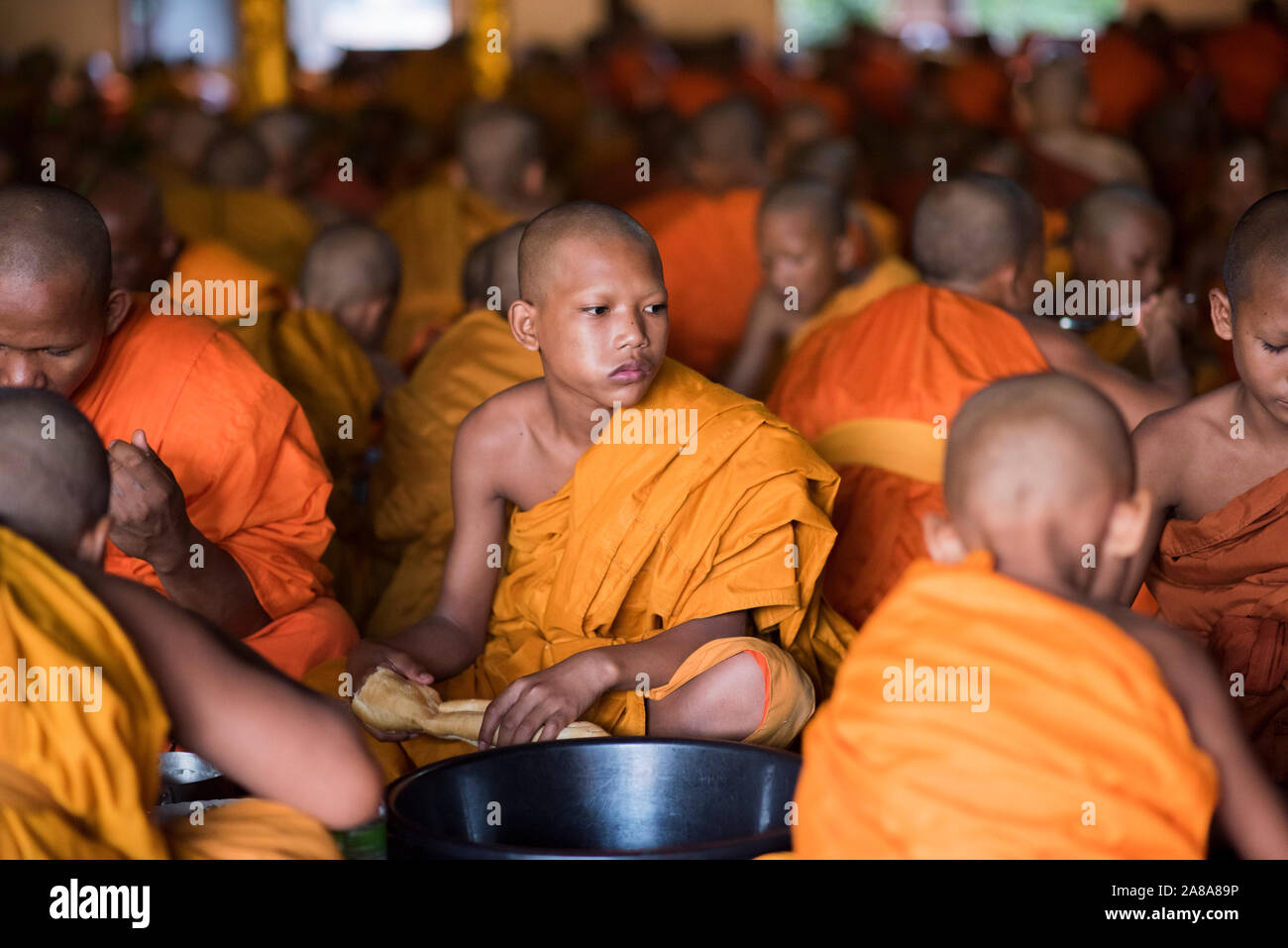 Buddhist monks eating hi-res stock photography and images - Alamy