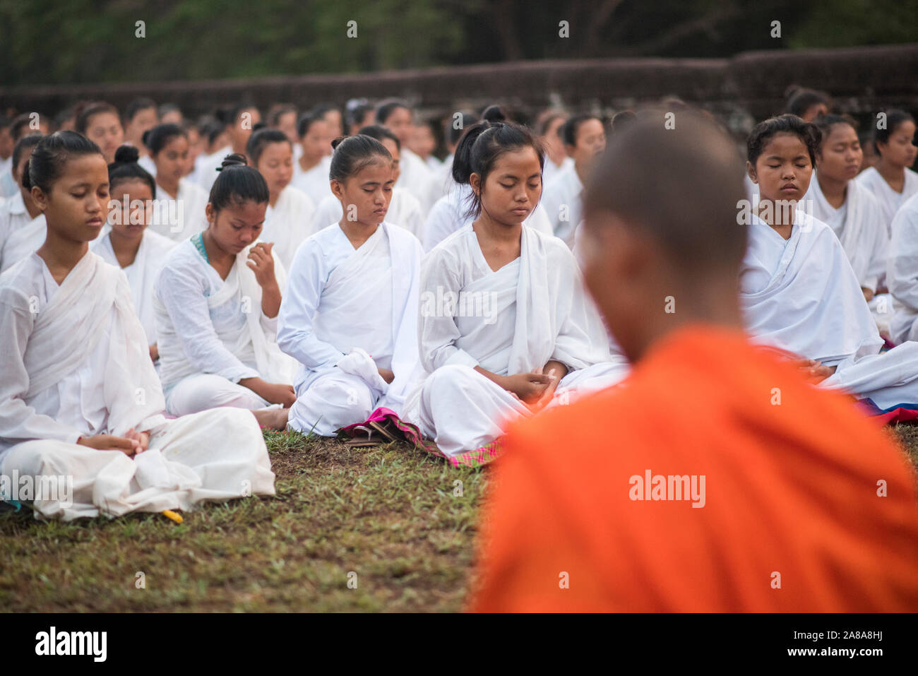A Large group of Buddhist monks and Nuns during the Celebration of the ...