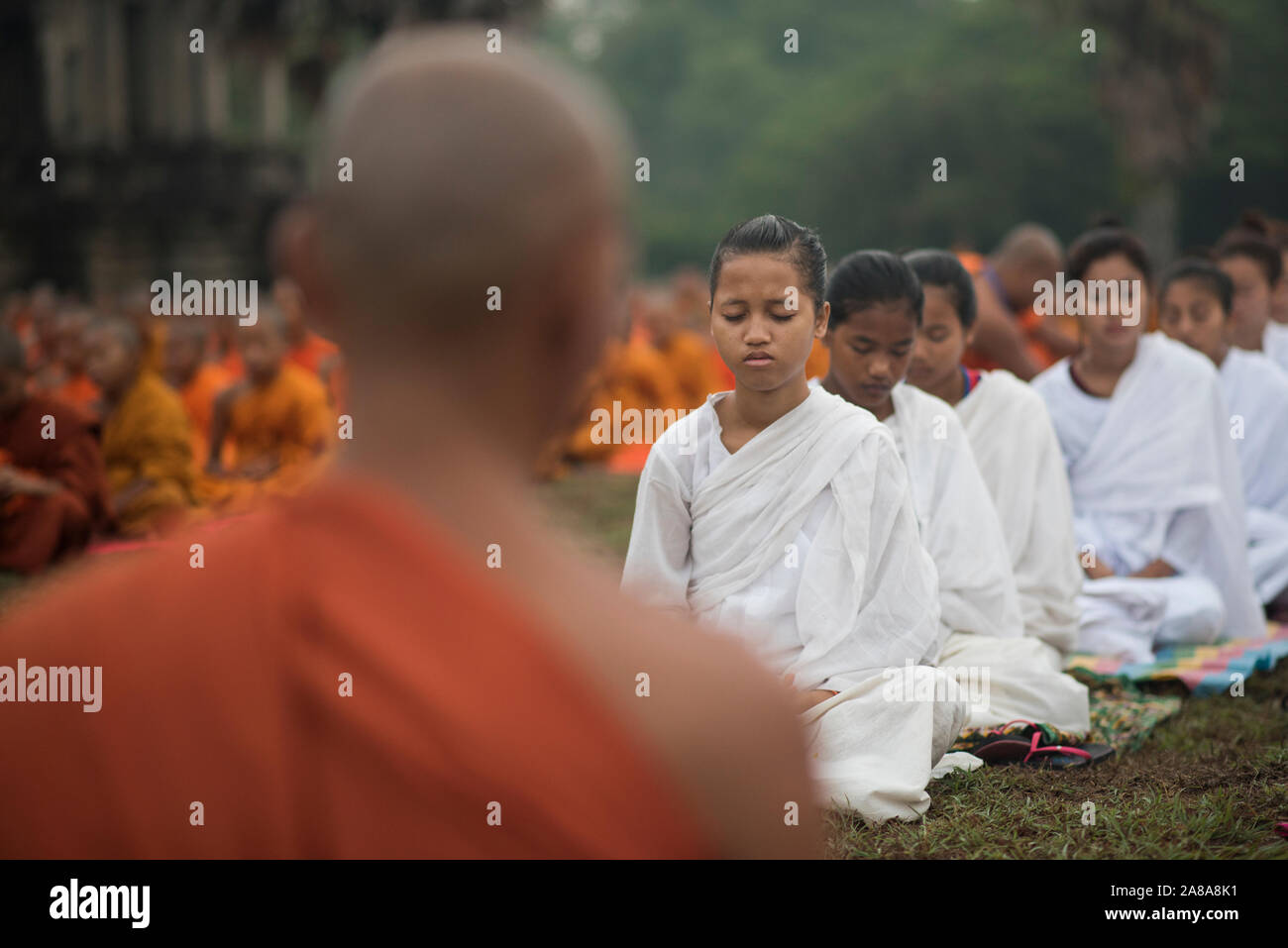 A Large group of Buddhist monks and Nuns during the Celebration of the ...