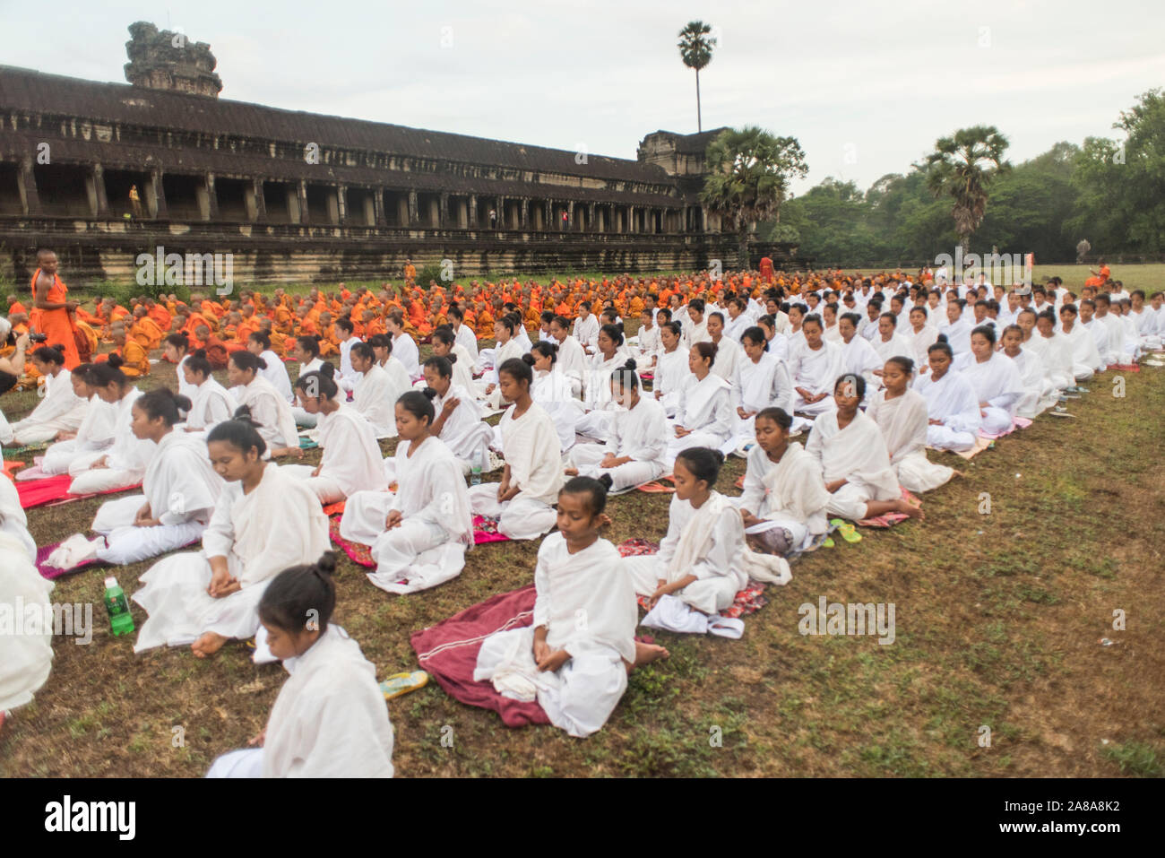 A Large group of Buddhist monks and Nuns during the Celebration of the ...