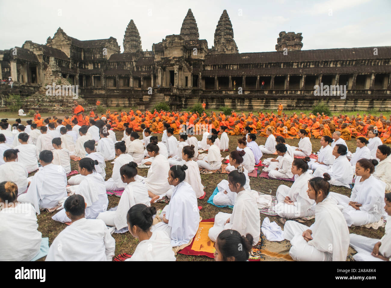 A Large group of Buddhist monks and Nuns during the Celebration of the ...