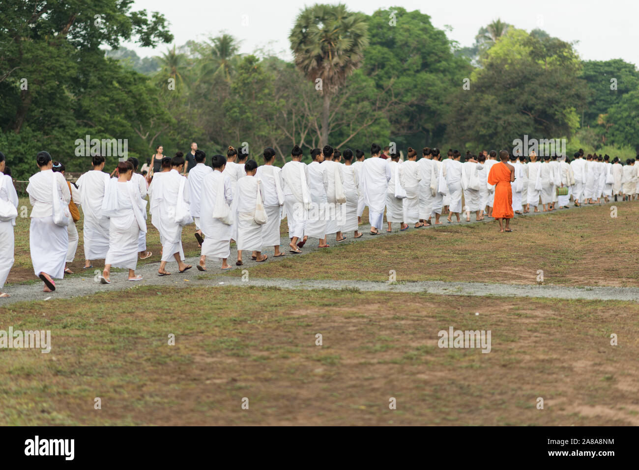 Large group of Buddhist nuns during the celebration of the Visak Bochea ...