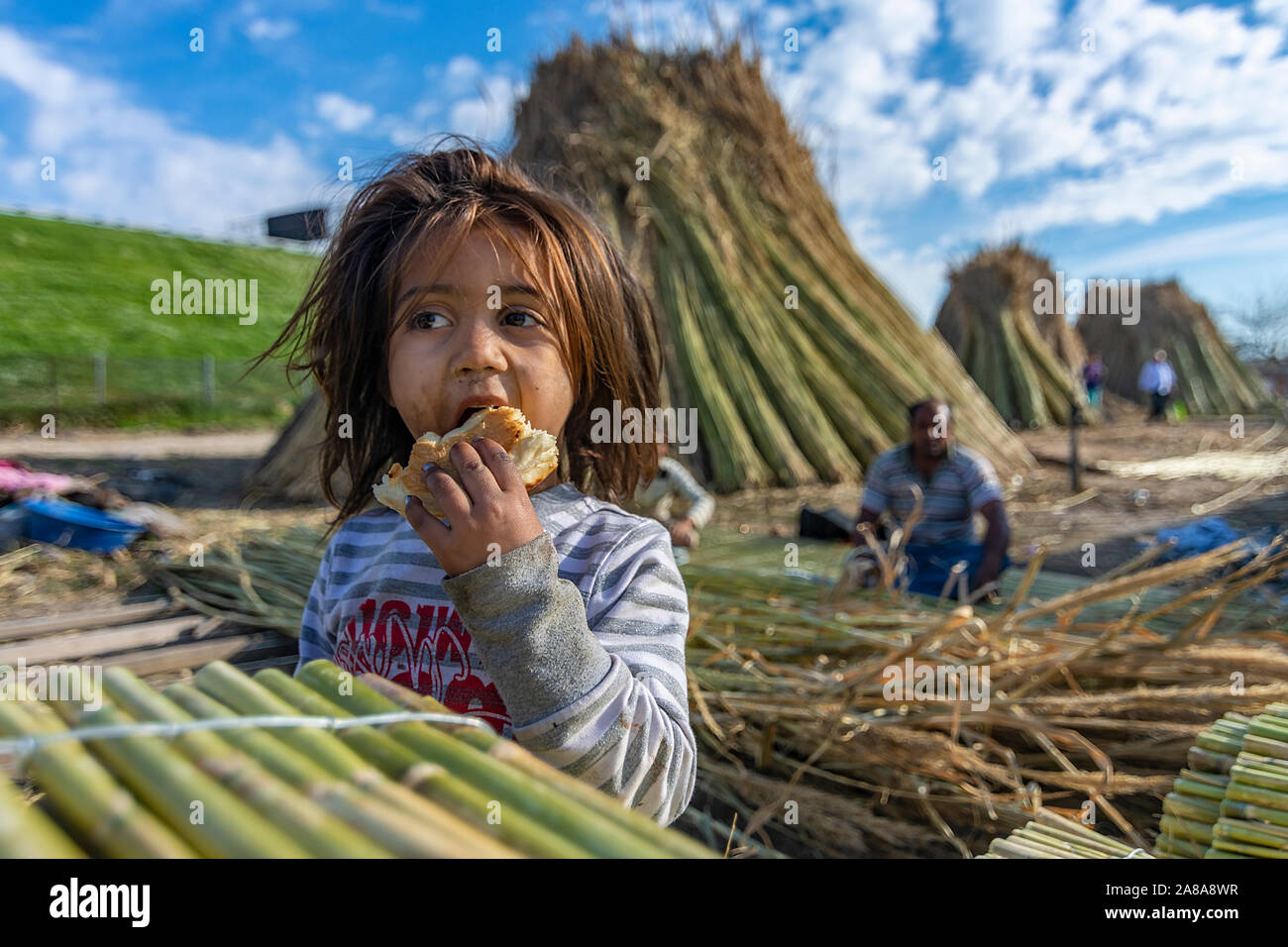 Reed weaving hi-res stock photography and images - Alamy