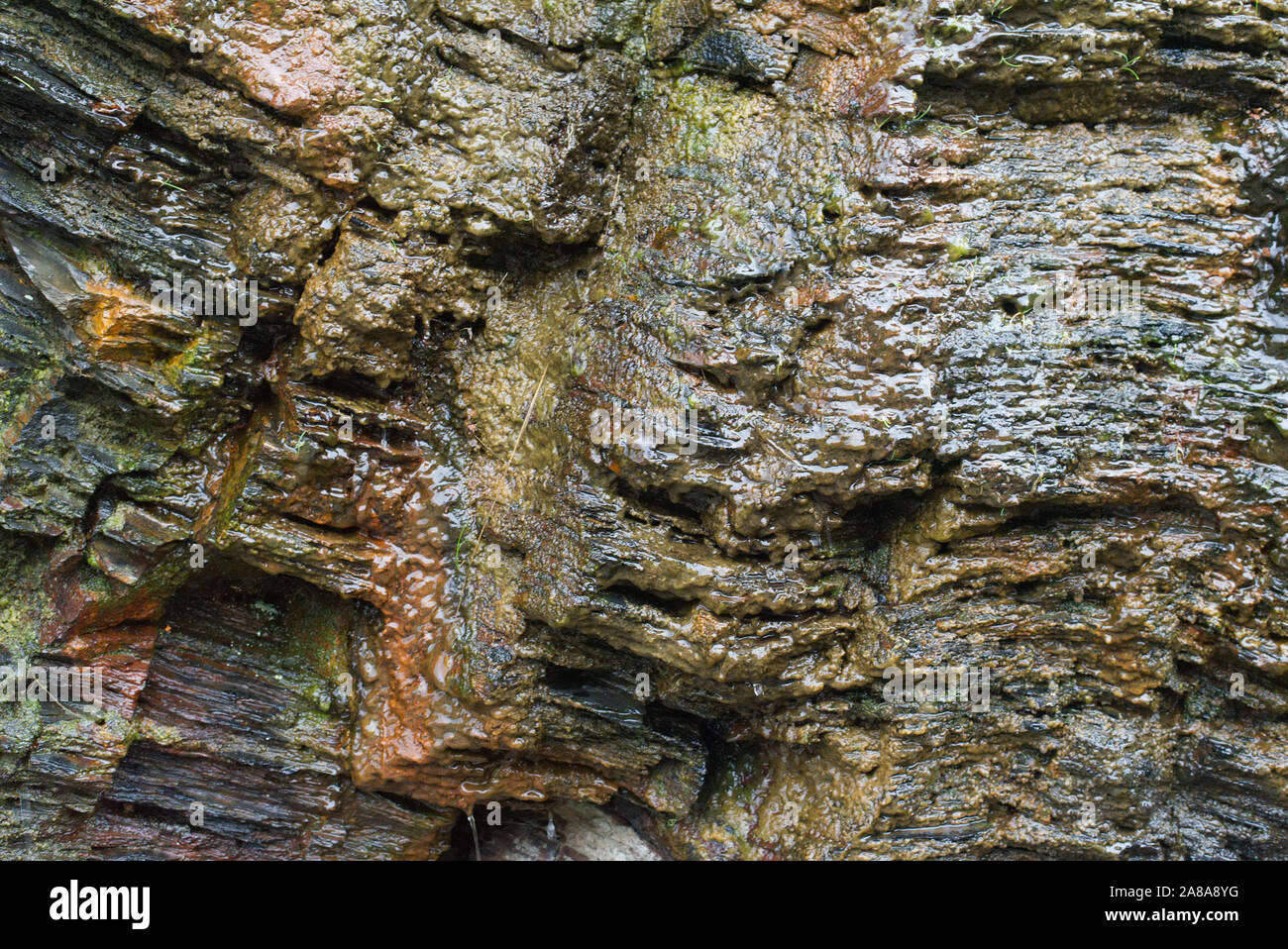Igneous granite hi-res stock photography and images - Alamy
