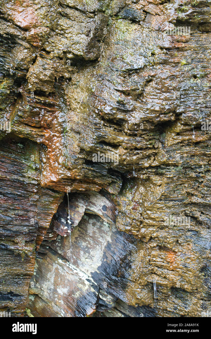 Wet rocks texture in the rain. Igneous granite Stock Photo - Alamy