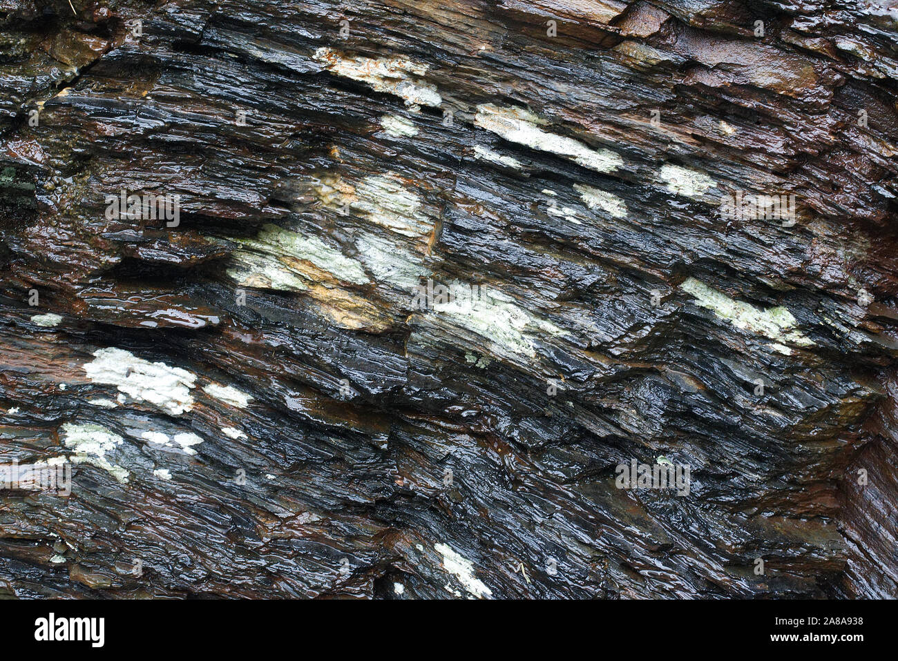 Wet rocks texture in the rain. Igneous granite Stock Photo - Alamy
