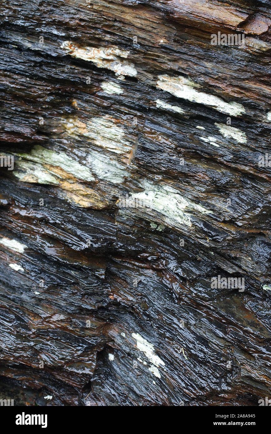Wet rocks texture in the rain. Igneous granite Stock Photo - Alamy