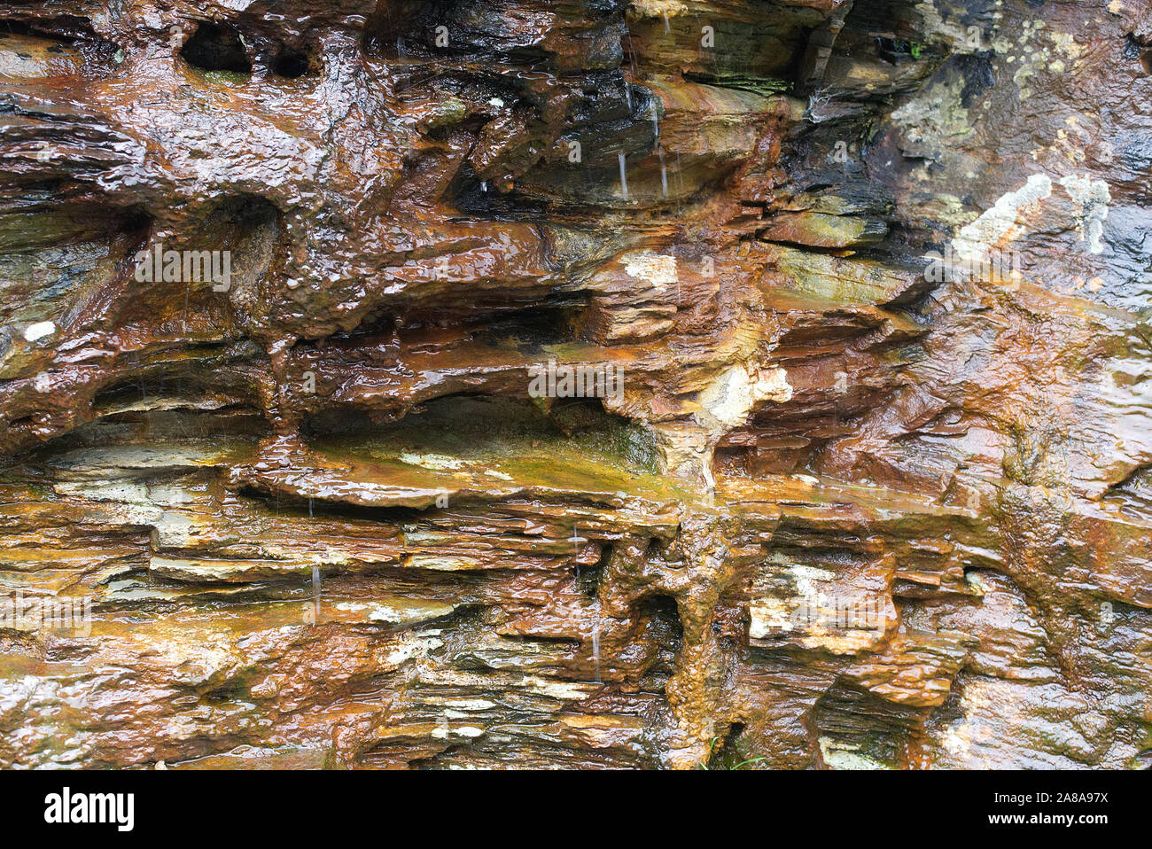 Wet rocks texture in the rain. Igneous granite Stock Photo - Alamy