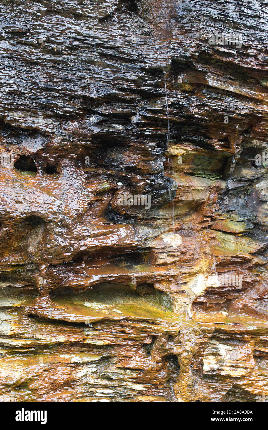 Wet rocks texture in the rain. Igneous granite Stock Photo - Alamy