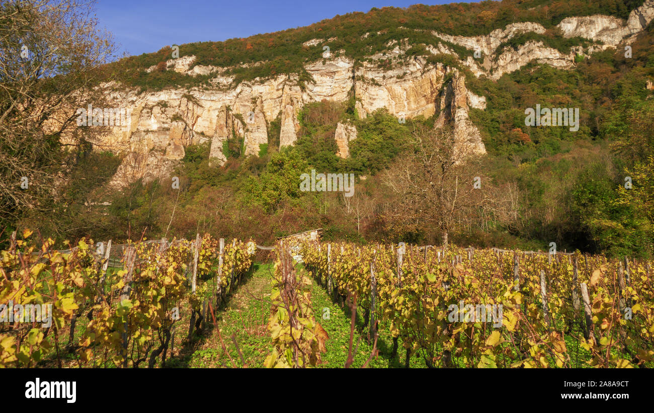 Bugey hi-res stock photography and images - Alamy