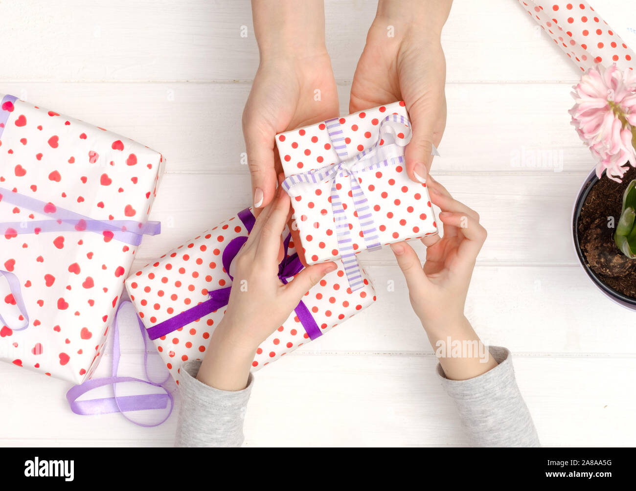 Happy mother daughter wrapping in hi-res stock photography and images ...
