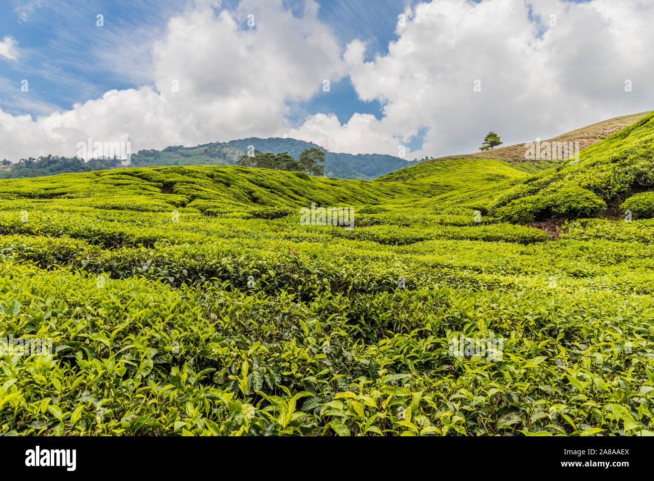 Highlands countryside hi-res stock photography and images - Alamy