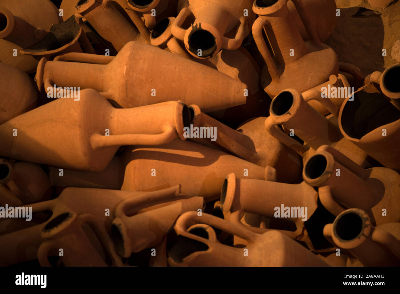 History is the study of the past as it is described in written ...