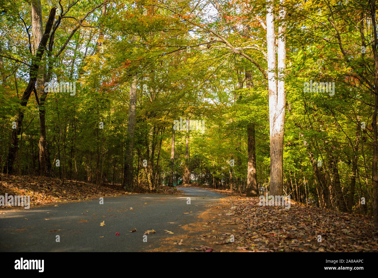 Fall Colors around Tega Cay and Fort Mill SC Stock Photo - Alamy