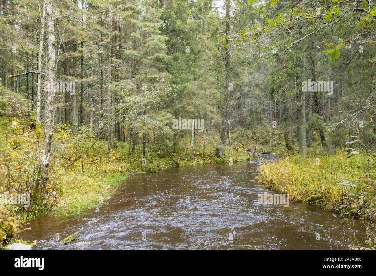 Beautiful flowing water golden light hi-res stock photography and ...