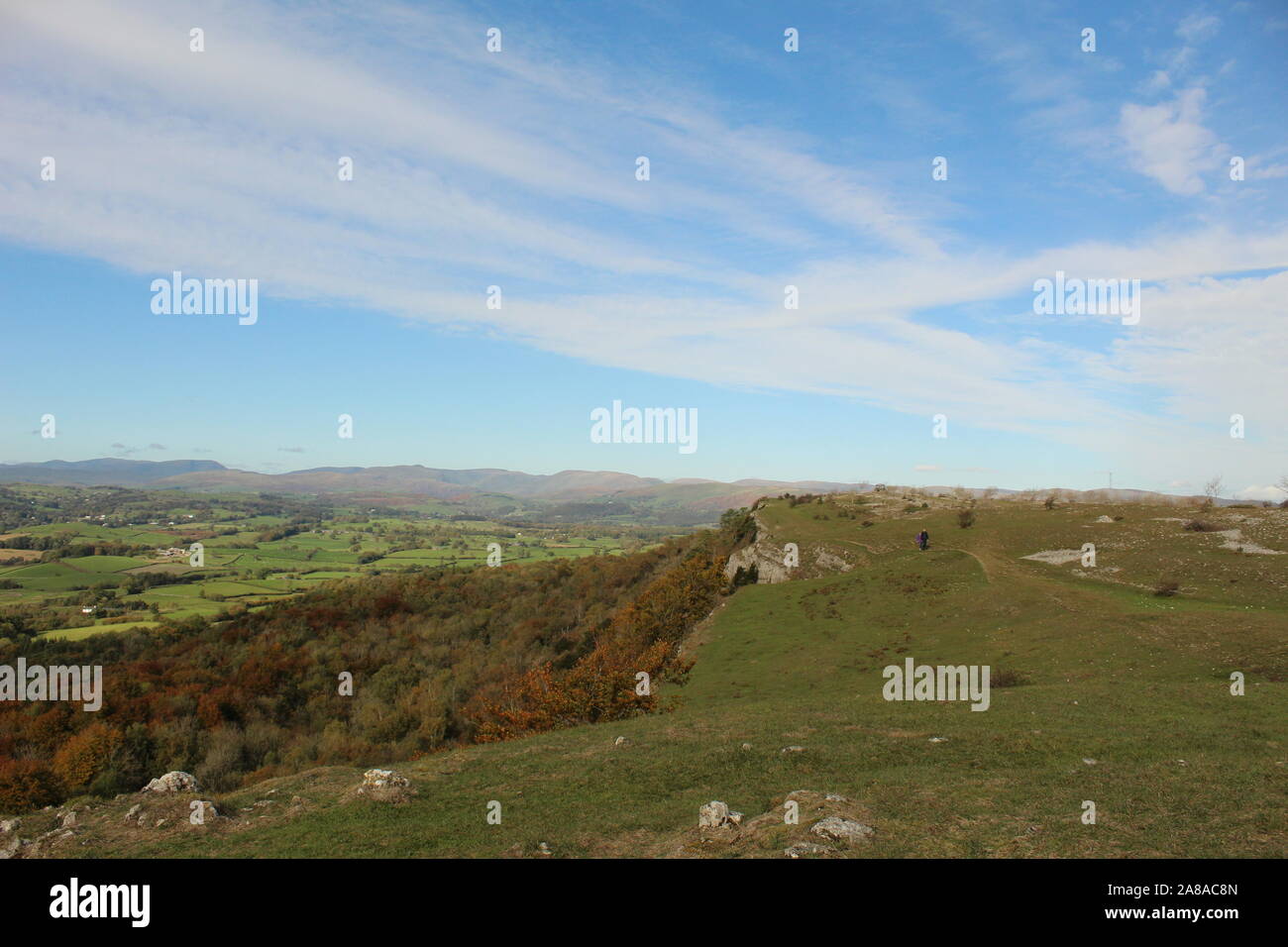 Scout scar hi-res stock photography and images - Alamy