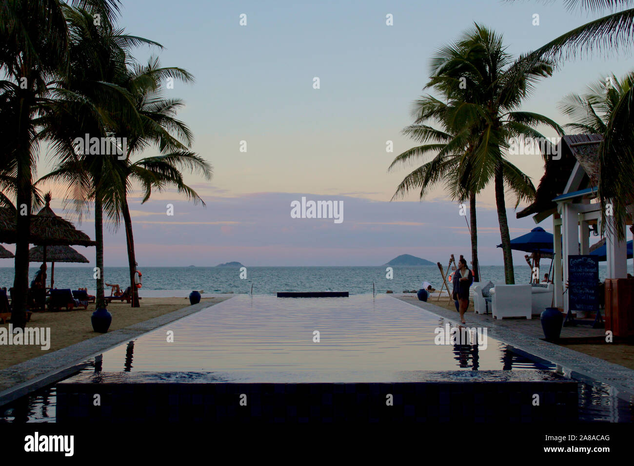 Infinity pool leading to the ocean in Vietnam, with palm trees lining ...