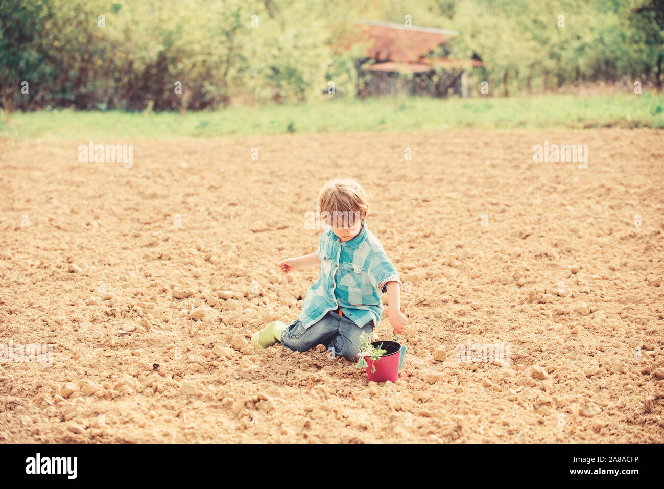 Planting in field. Planting seedlings. Little boy planting flower in ...