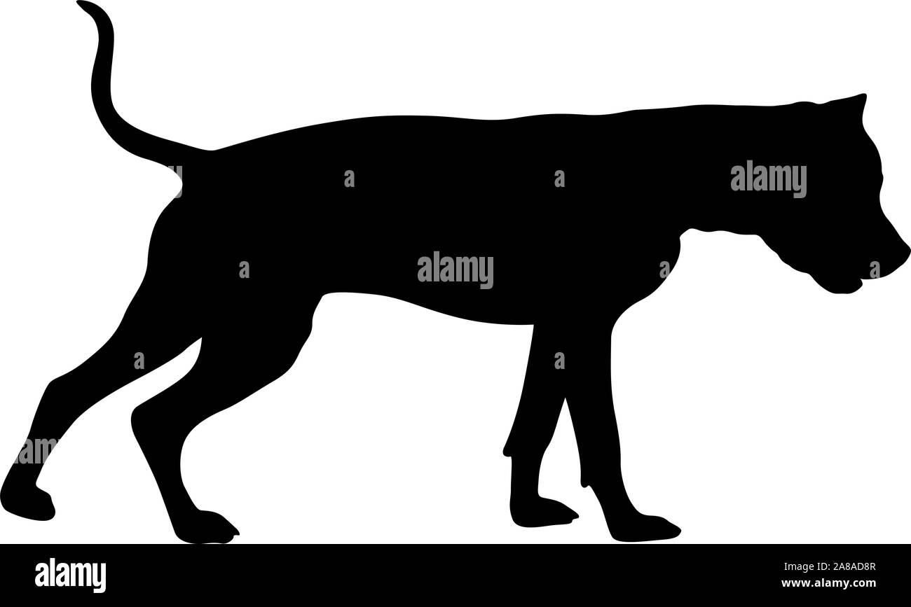 Dunker dog silhouette on a white background Stock Vector Image & Art ...