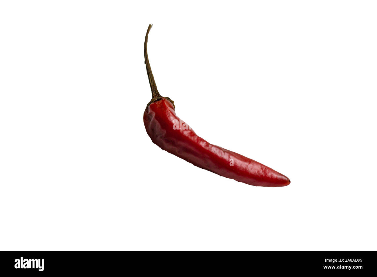 A red pepper, white background Stock Photo - Alamy