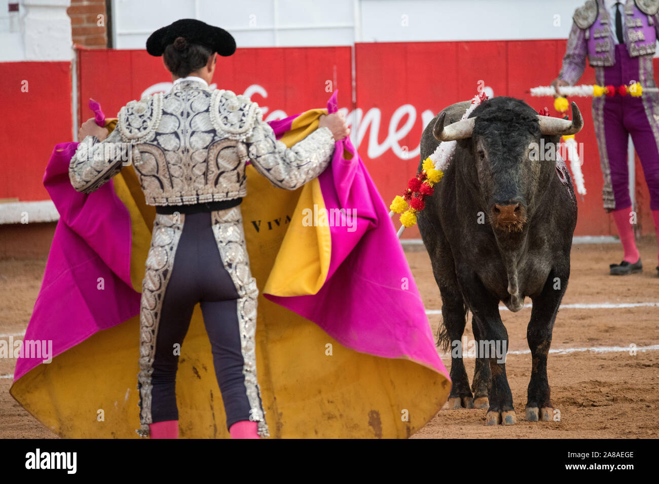 Red cape bullfighting hi-res stock photography and images - Alamy