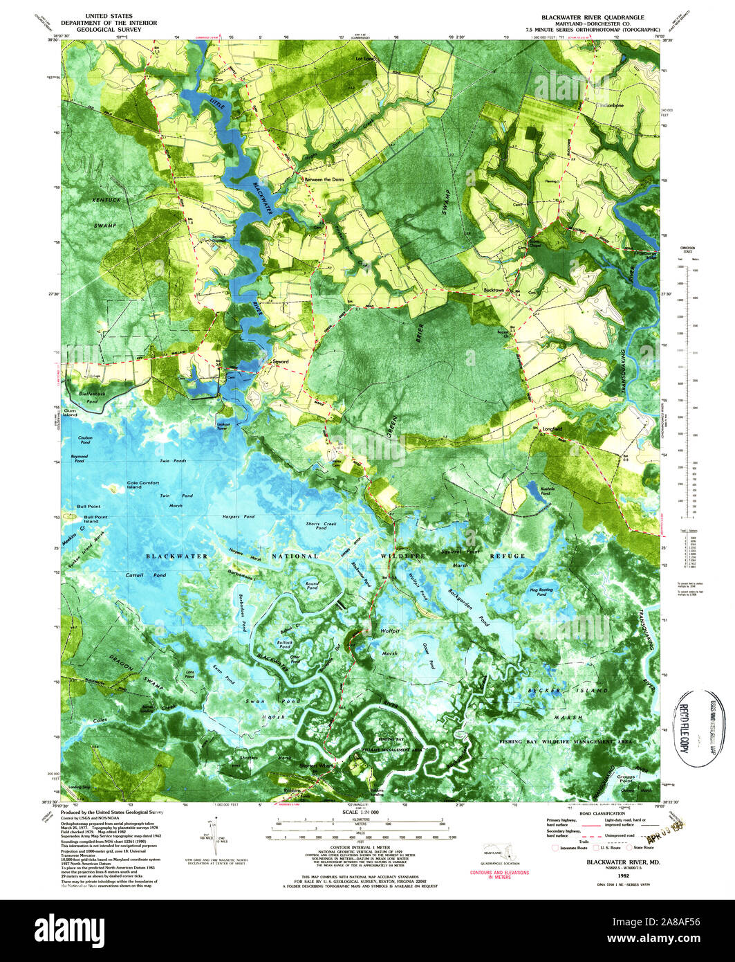 Blackwater river maryland Cut Out Stock Images & Pictures - Alamy