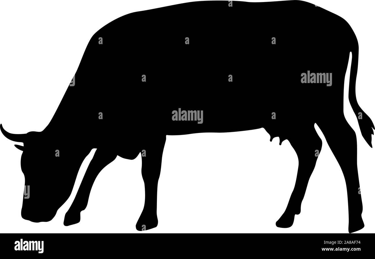 Cash cow on white hi-res stock photography and images - Alamy