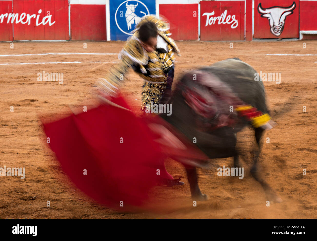 Bullfighter Paco Urena at the Plaza de Toros in San Miguel de Allende ...