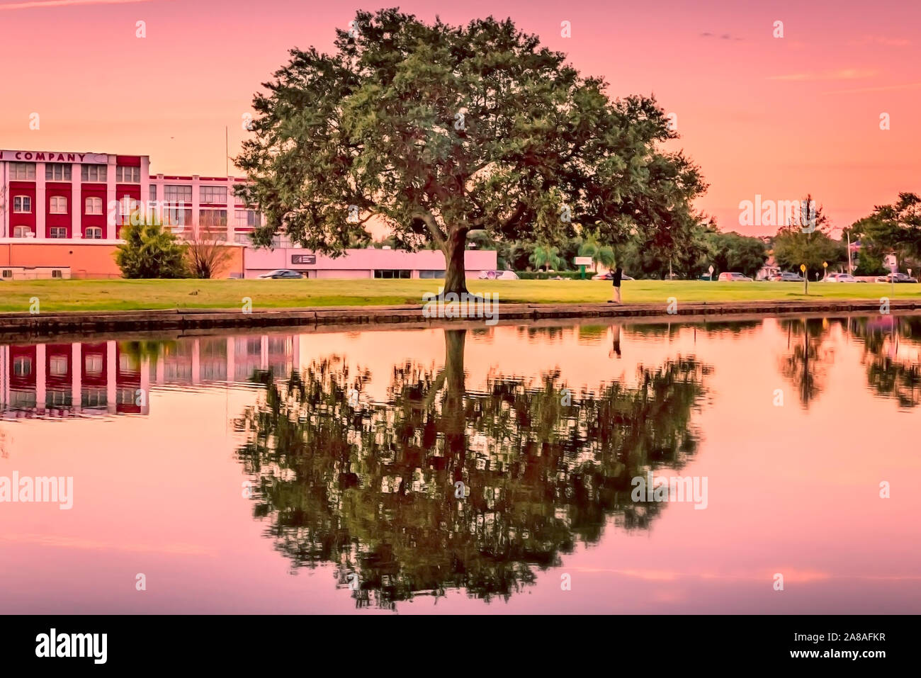 Louisiana bayou sunset hi-res stock photography and images - Alamy
