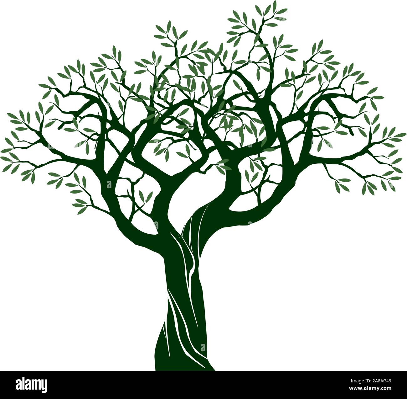 Green Isolated Olive Tree on white background. Vector Illustration and ...
