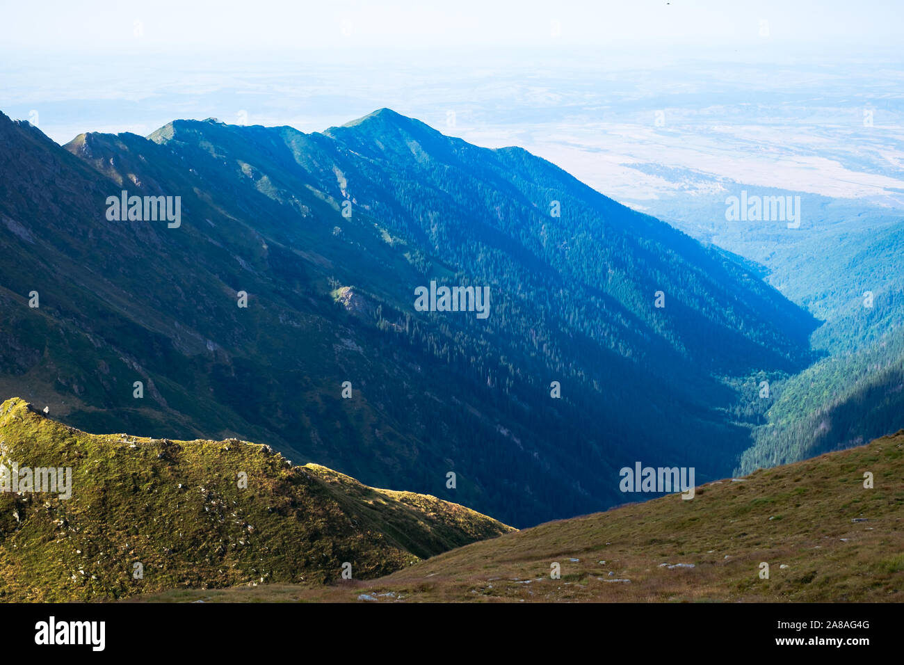 Suny day in Romanian mountains, Fagaras, Sibiu county Stock Photo - Alamy
