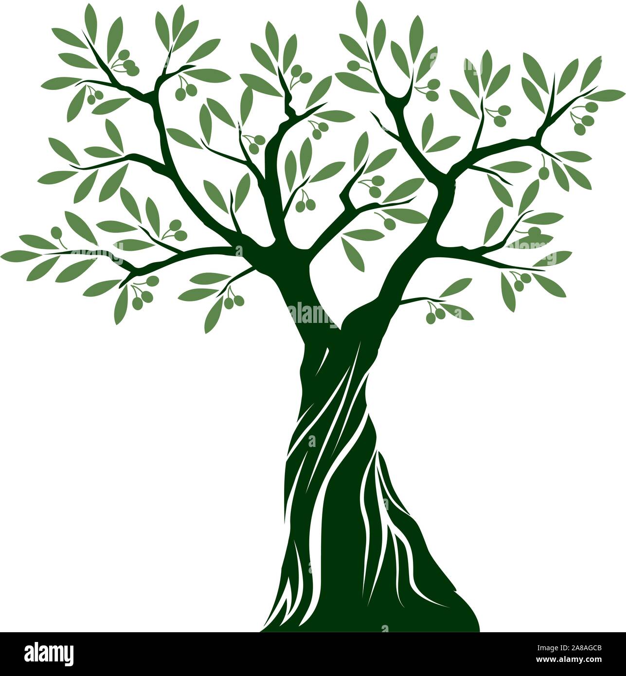 Green Isolated Olive Tree on white background. Vector Illustration and ...