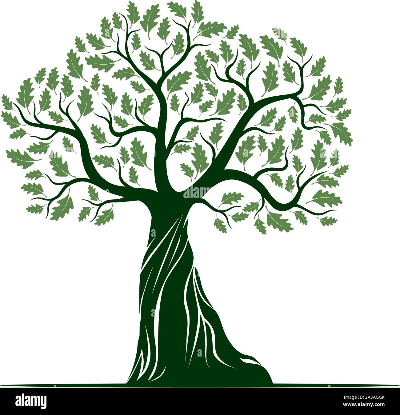 Simple Oak Tree Drawing