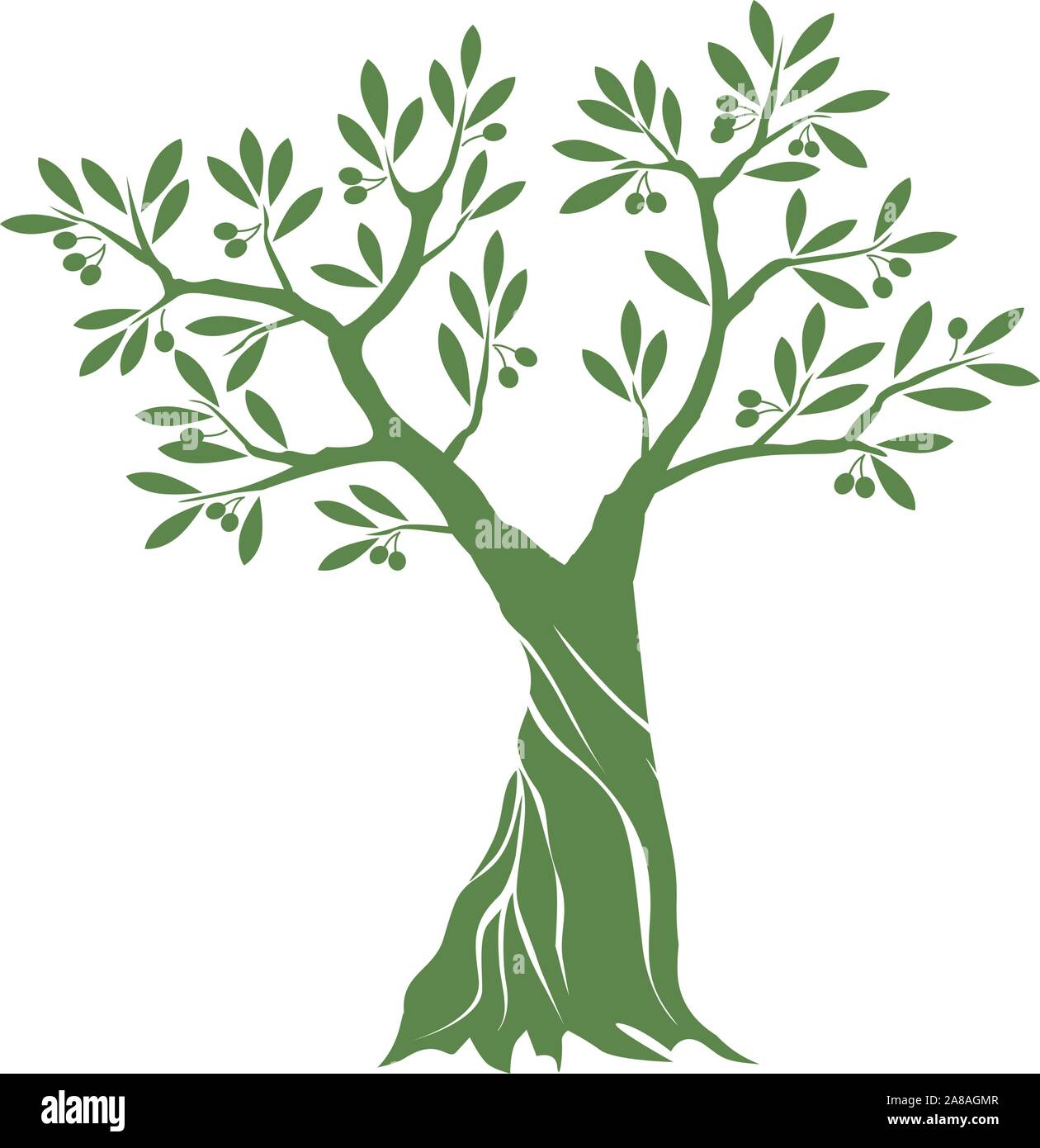 Green Isolated Olive Tree on white background. Vector Illustration and ...