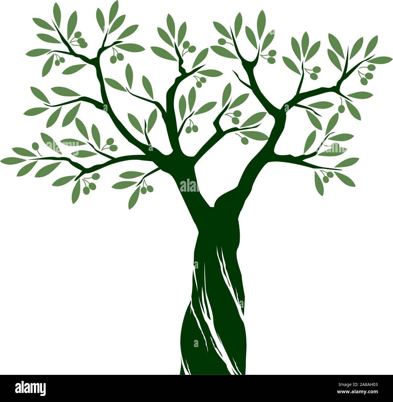Green Isolated Olive Tree on white background. Vector Illustration and ...