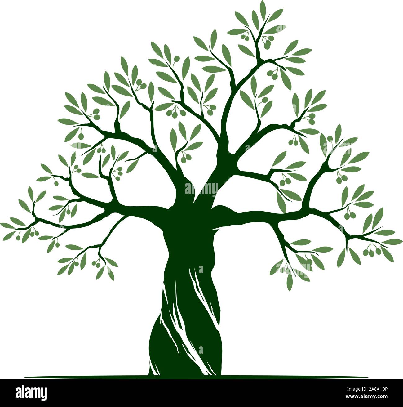 Green Isolated Olive Tree on white background. Vector Illustration and ...