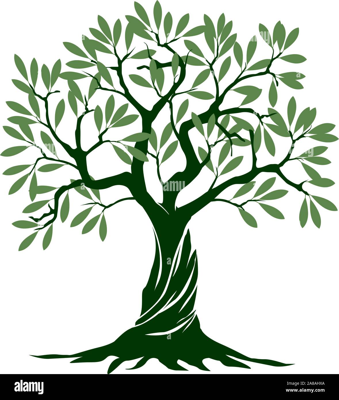 Green Olive Tree on white background. Vector Illustration and concept ...