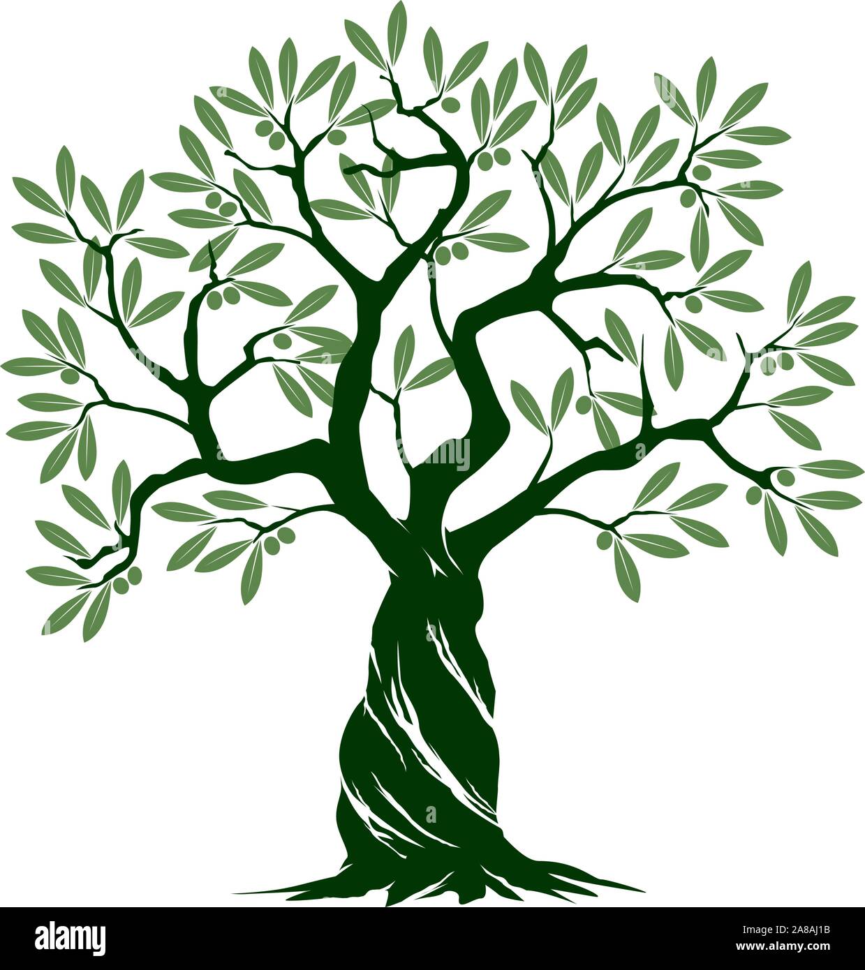 Green Isolated Olive Tree on white background. Vector Illustration and ...